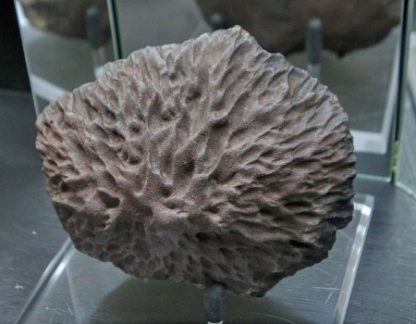 Orientation and Oriented Meteorites - SkyFall Meteorites